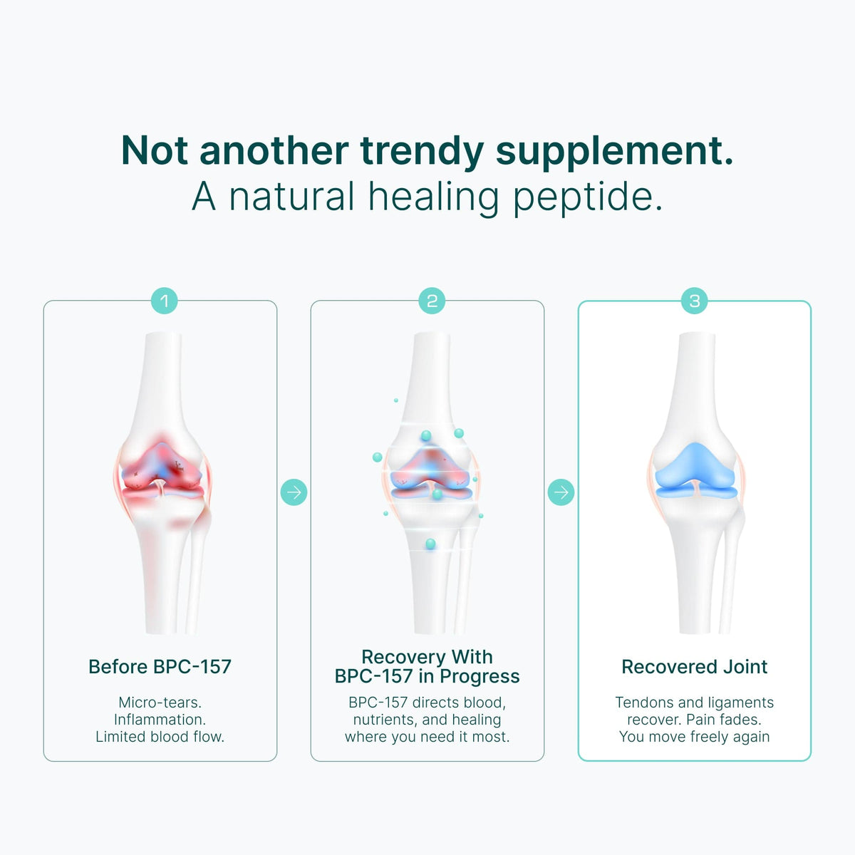 BPC-157 Supplement | Gut, Joint & Muscle Recovery Support – Healthletic