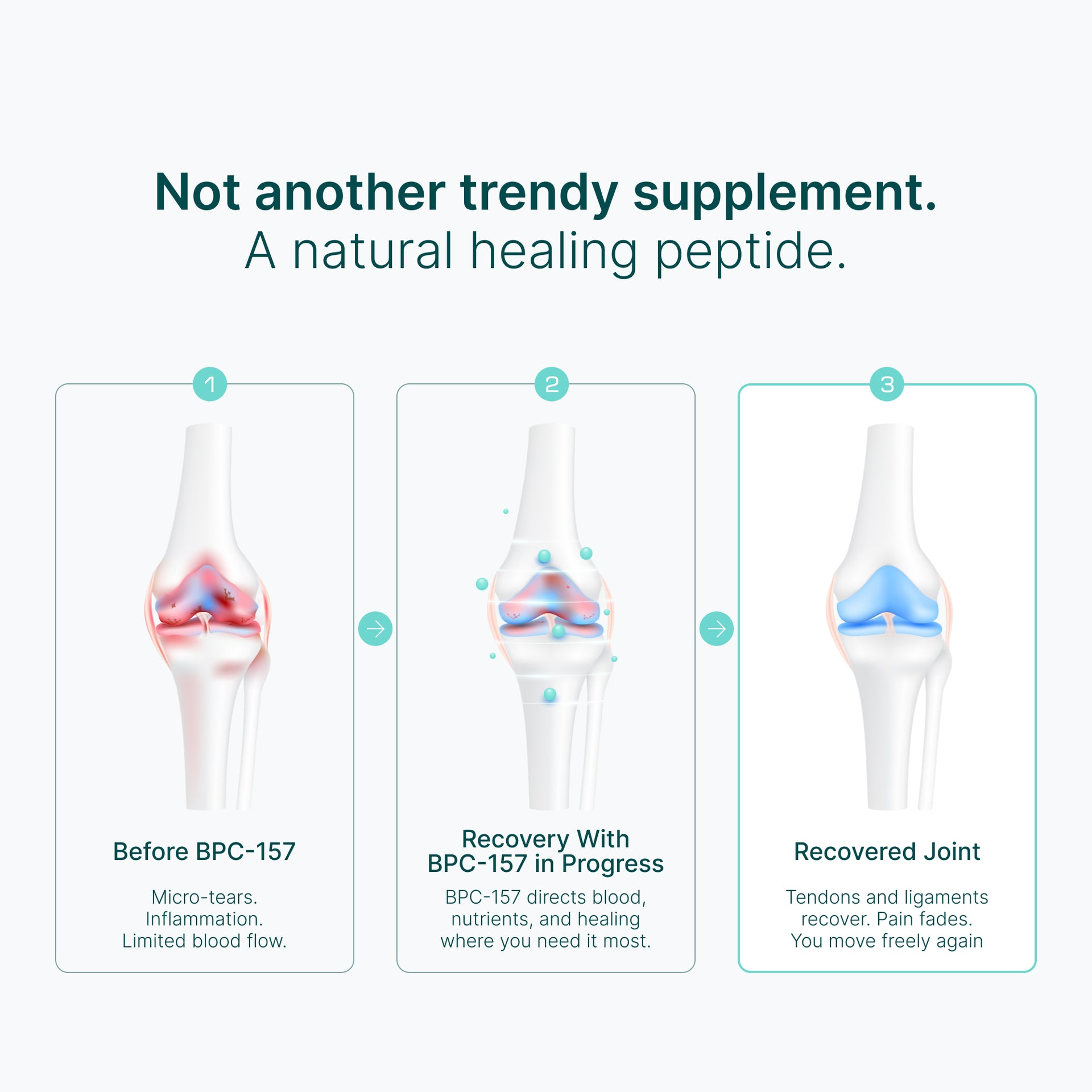 BPC-157 Supplement | Gut, Joint & Muscle Recovery Support – Healthletic