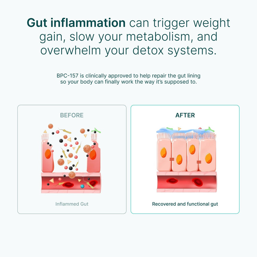 BPC-157 Supplement | Gut, Joint & Muscle Recovery Support – Healthletic